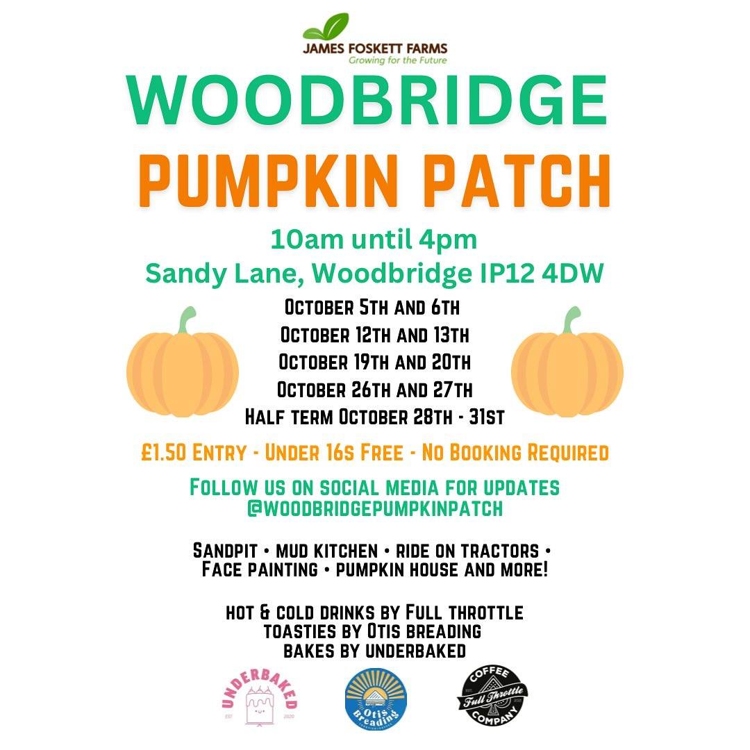 Find A Fantastic Pumpkin Patch In Suffolk 2025