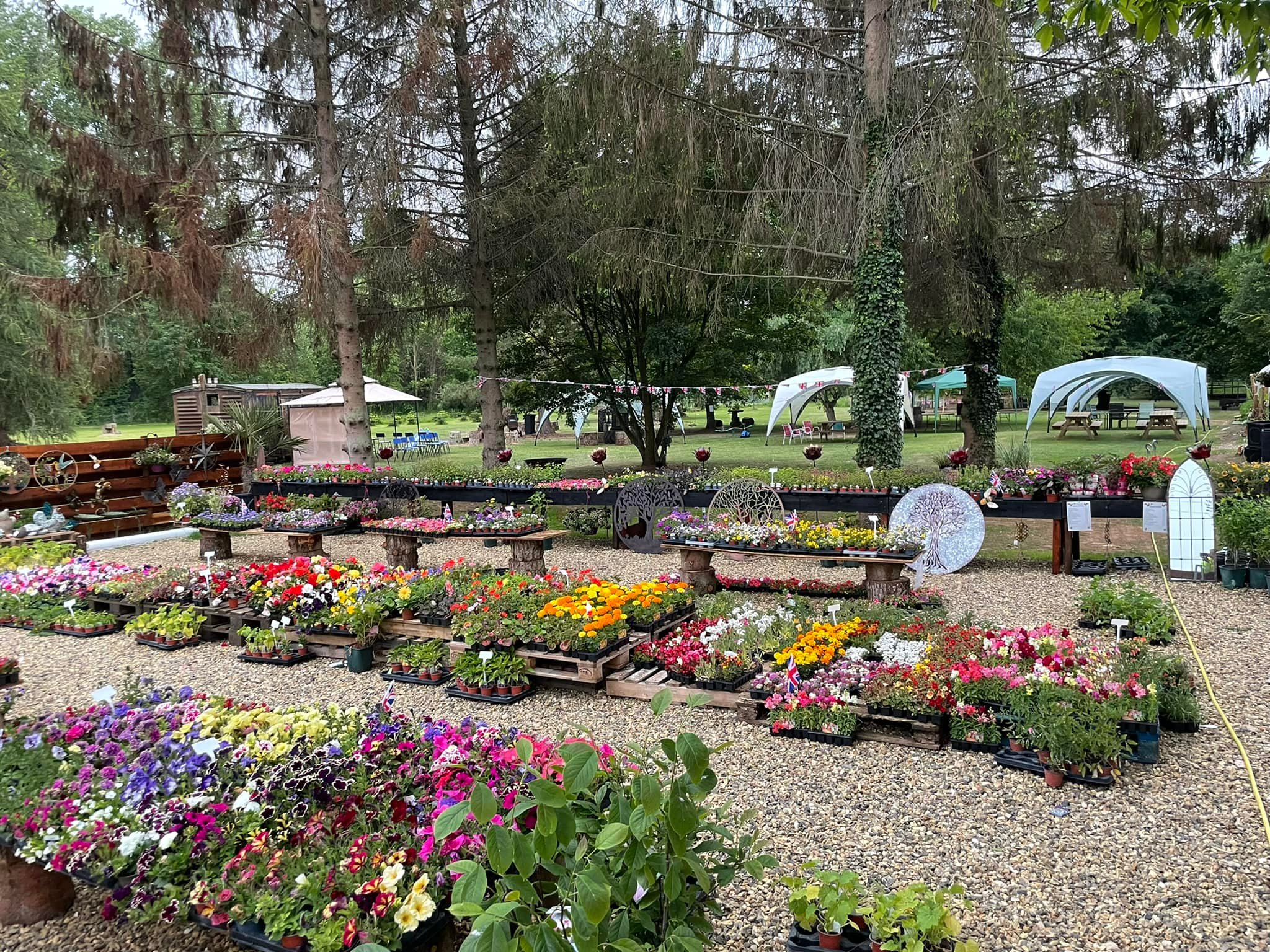 Best Farm Shops Norfolk Has To Offer 2024