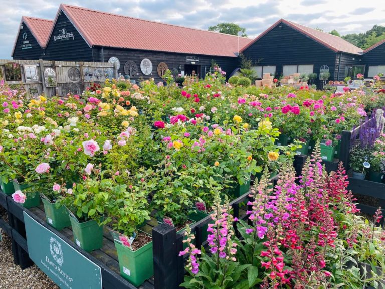 Best Farm Shops Norfolk Has To Offer 2023