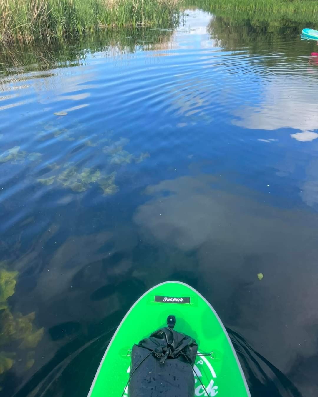 Best Places to Go Paddle Boarding Essex in 2025