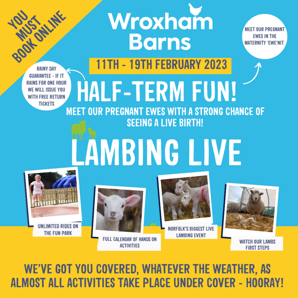 Where Can I Experience Lamb Feeding in East Anglia 2023