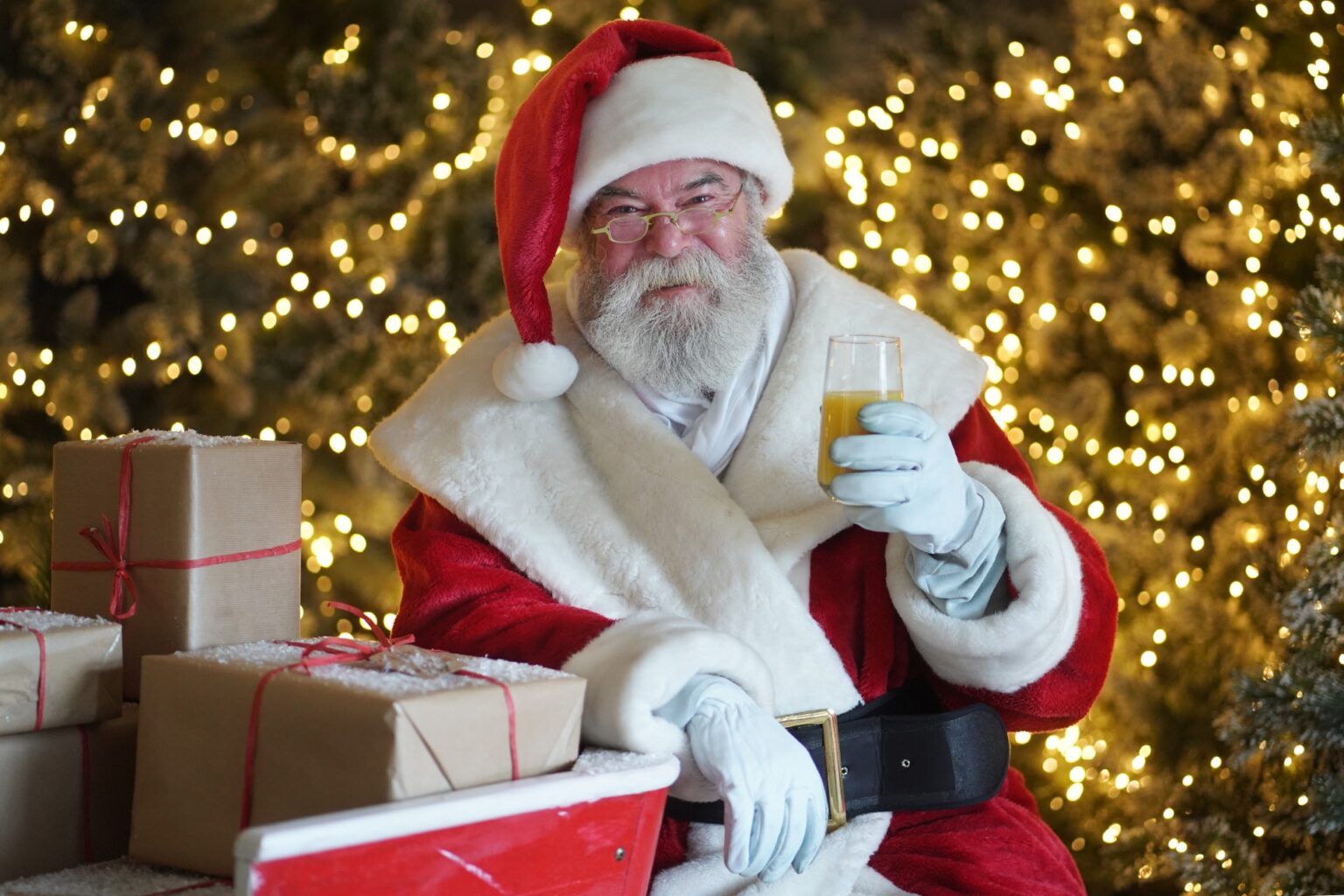 Best Breakfast with Santa Near me in East Anglia 2025